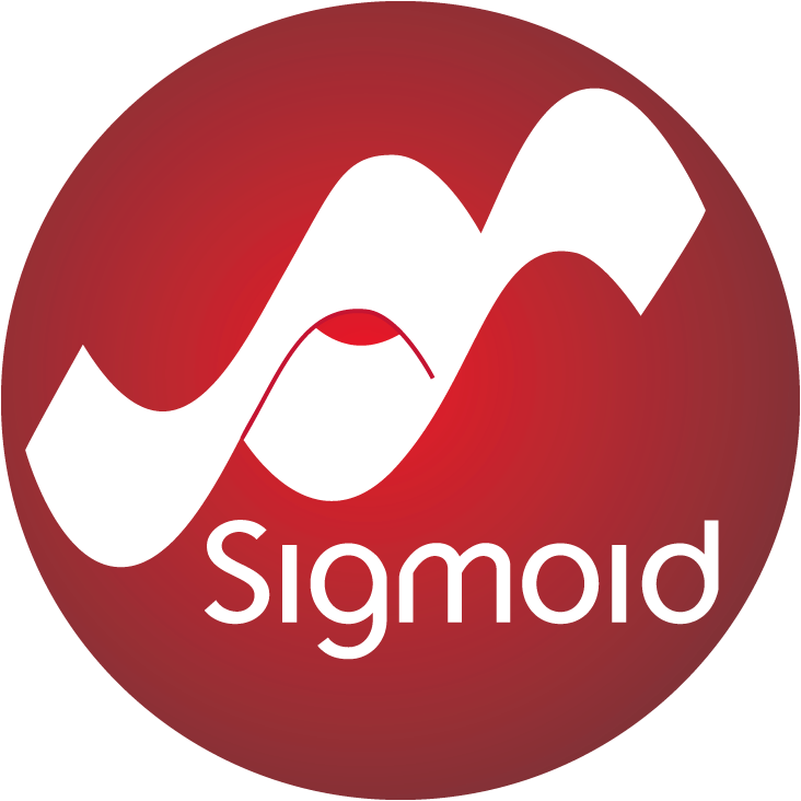 Executive Coaching & Training Program | Sigmoid Consulting